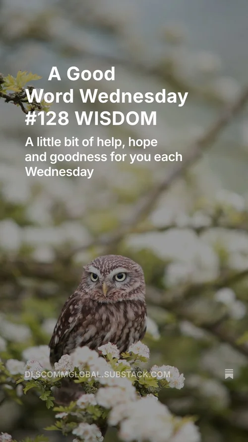 A Good Word Wednesday — DeAnna Lynn Sanders, Author