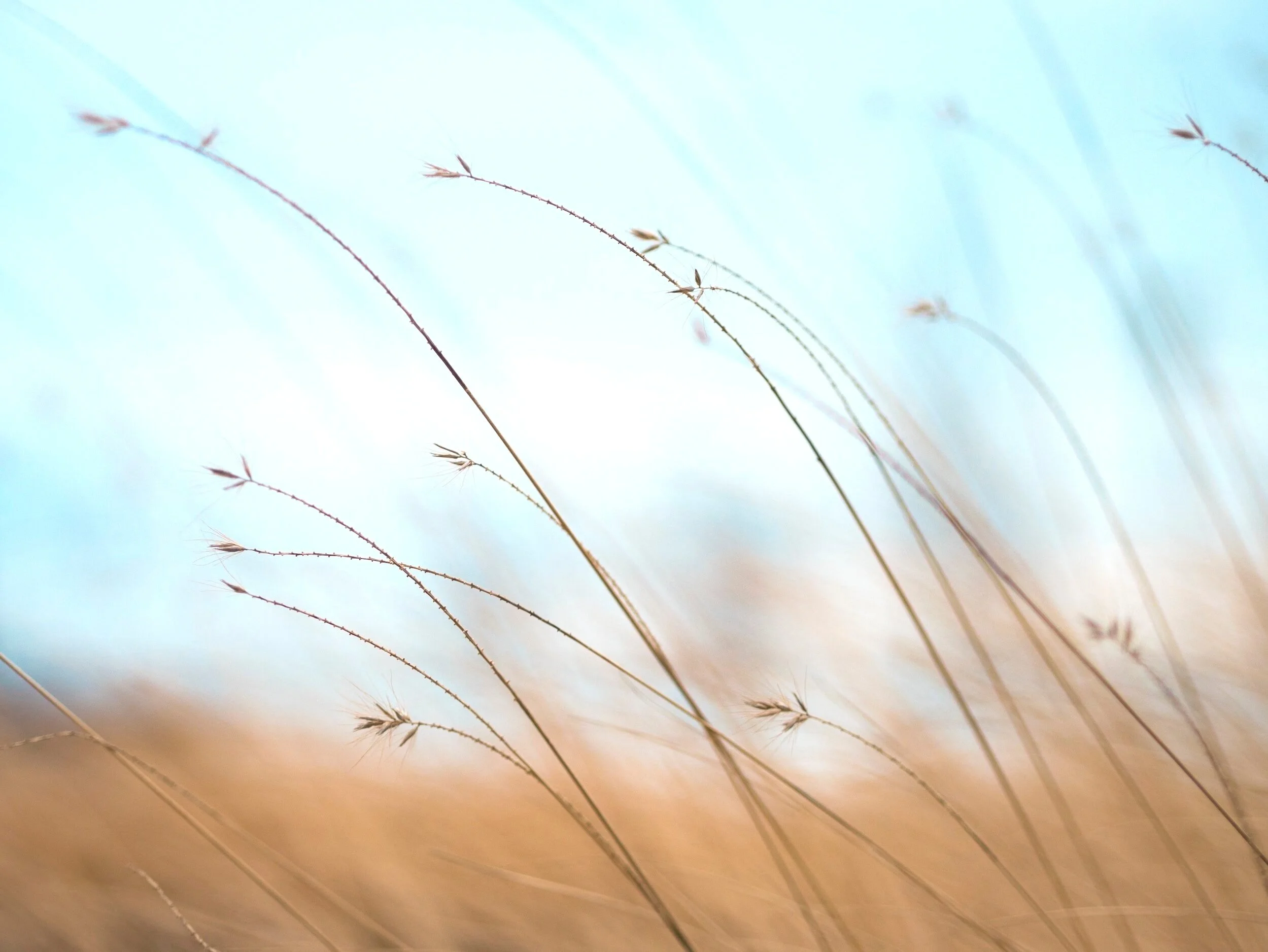 Notre Histoire — Bravoure