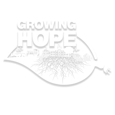 Week 2: TikTok Video Challenge — GrowingHopeProject