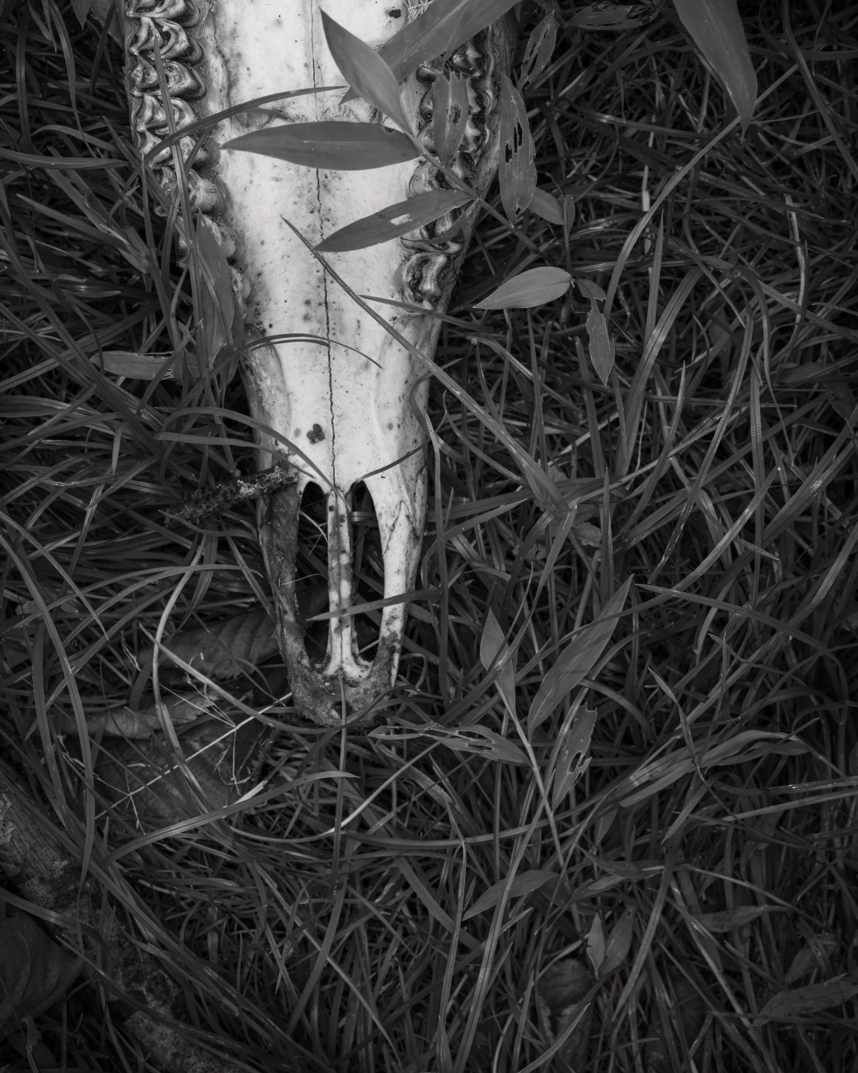 Cody Schultz - Photographer and Writer