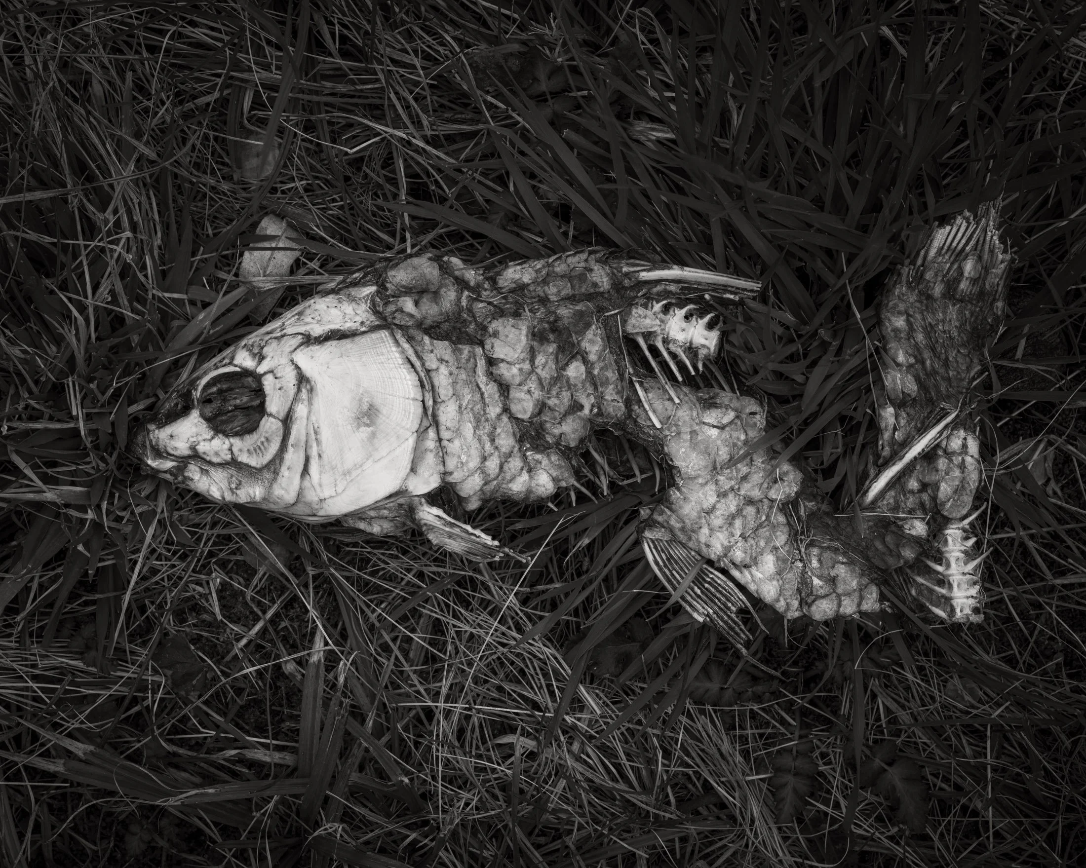 Cody Schultz - Photographer and Writer