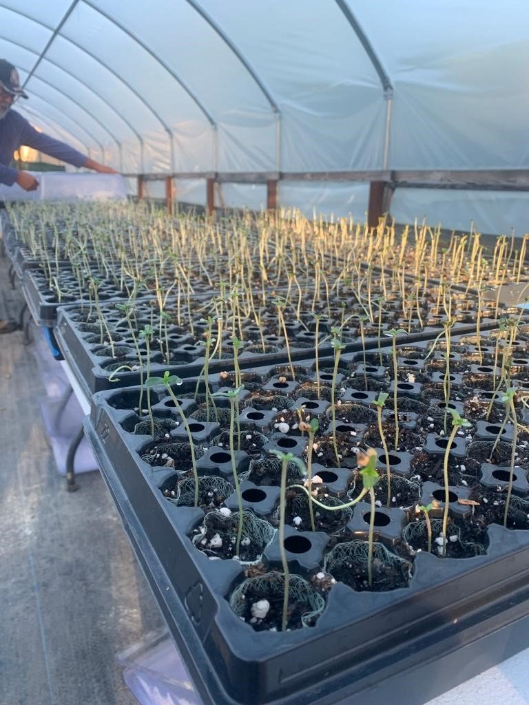 Casa Flor Blog — Casa Flor Family