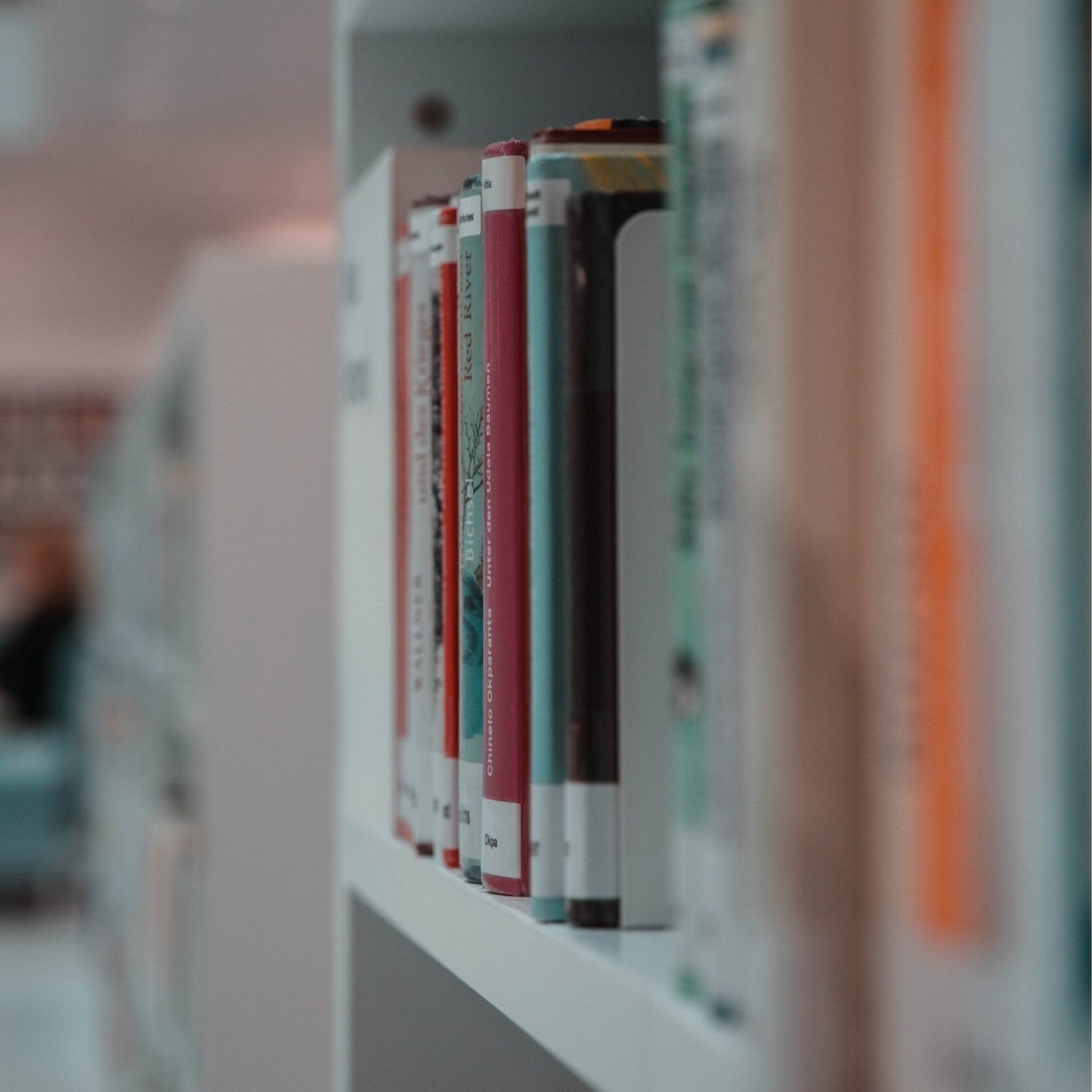 Social Media Post Ideas for February 2024 — Cyndi Zaweski