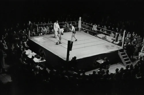 The Rising Awareness of Dementia in Sport: From “Punch Drunk” to CTE