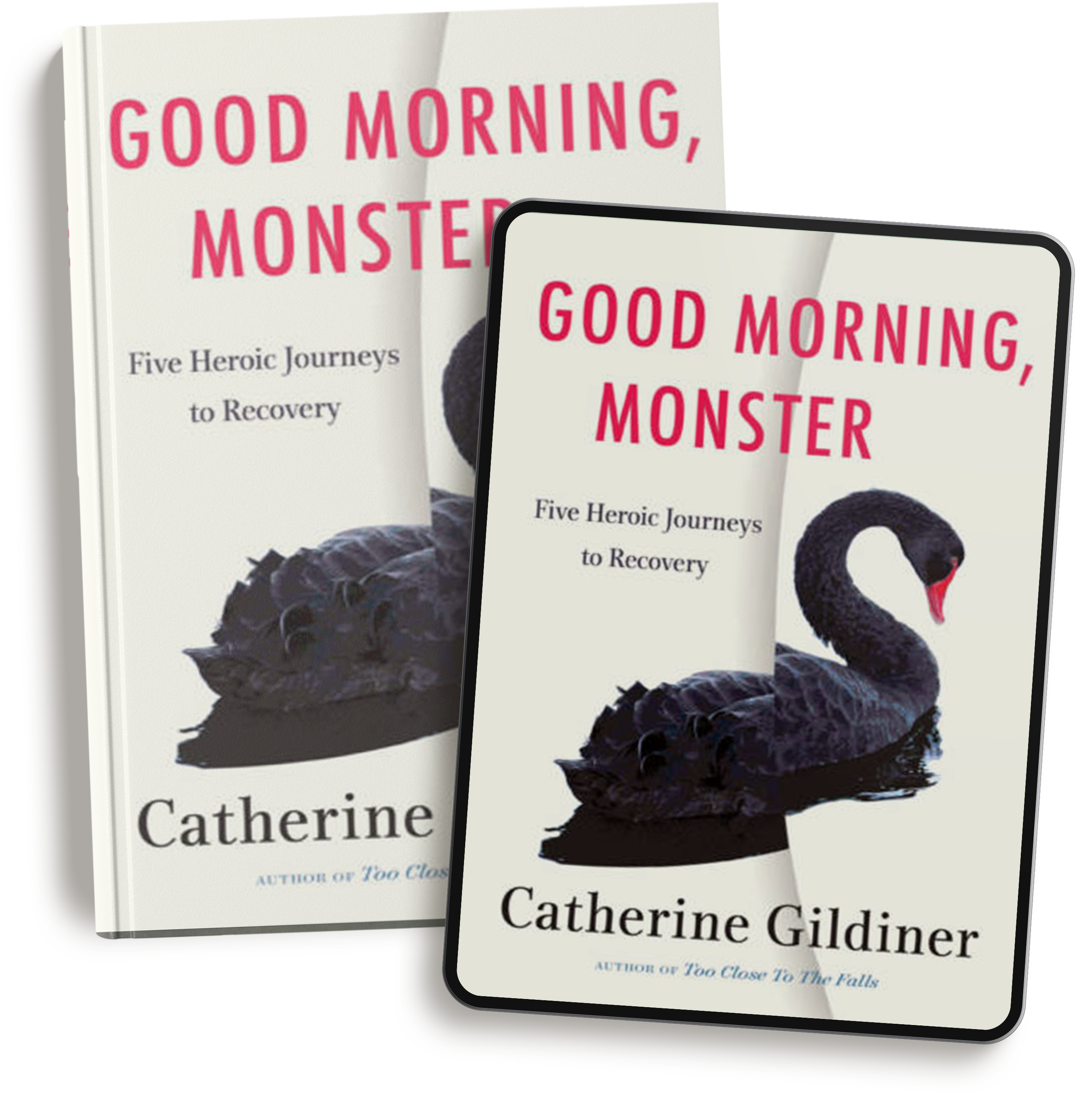 Good Morning Monster — Catherine Gildiner