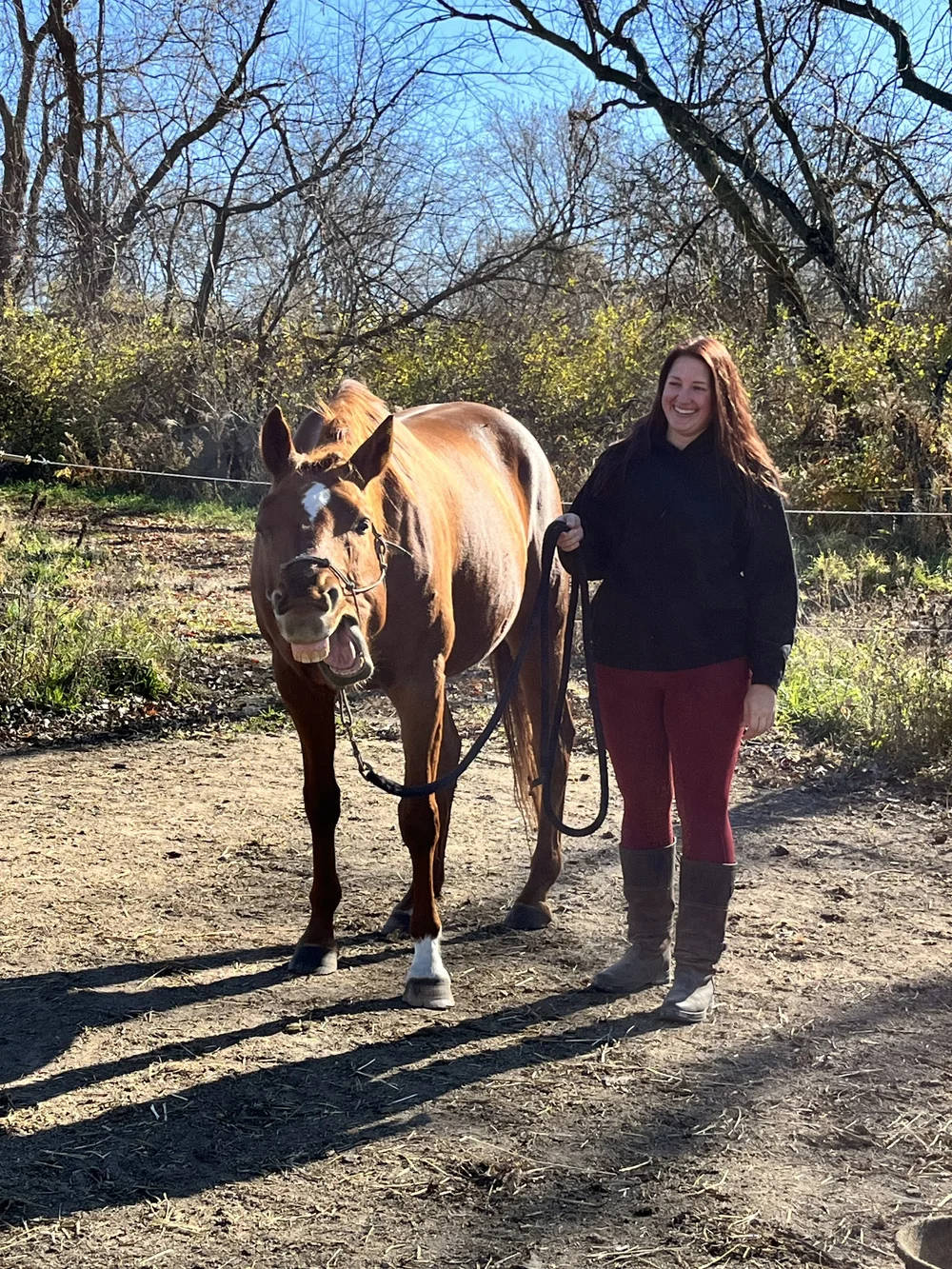 Valkyrie Equine Bodywork LLC