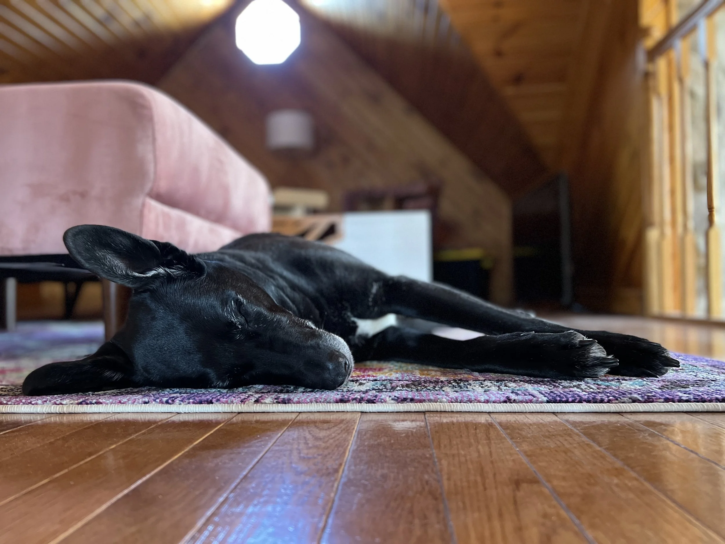 About — Erin Hurst Photography