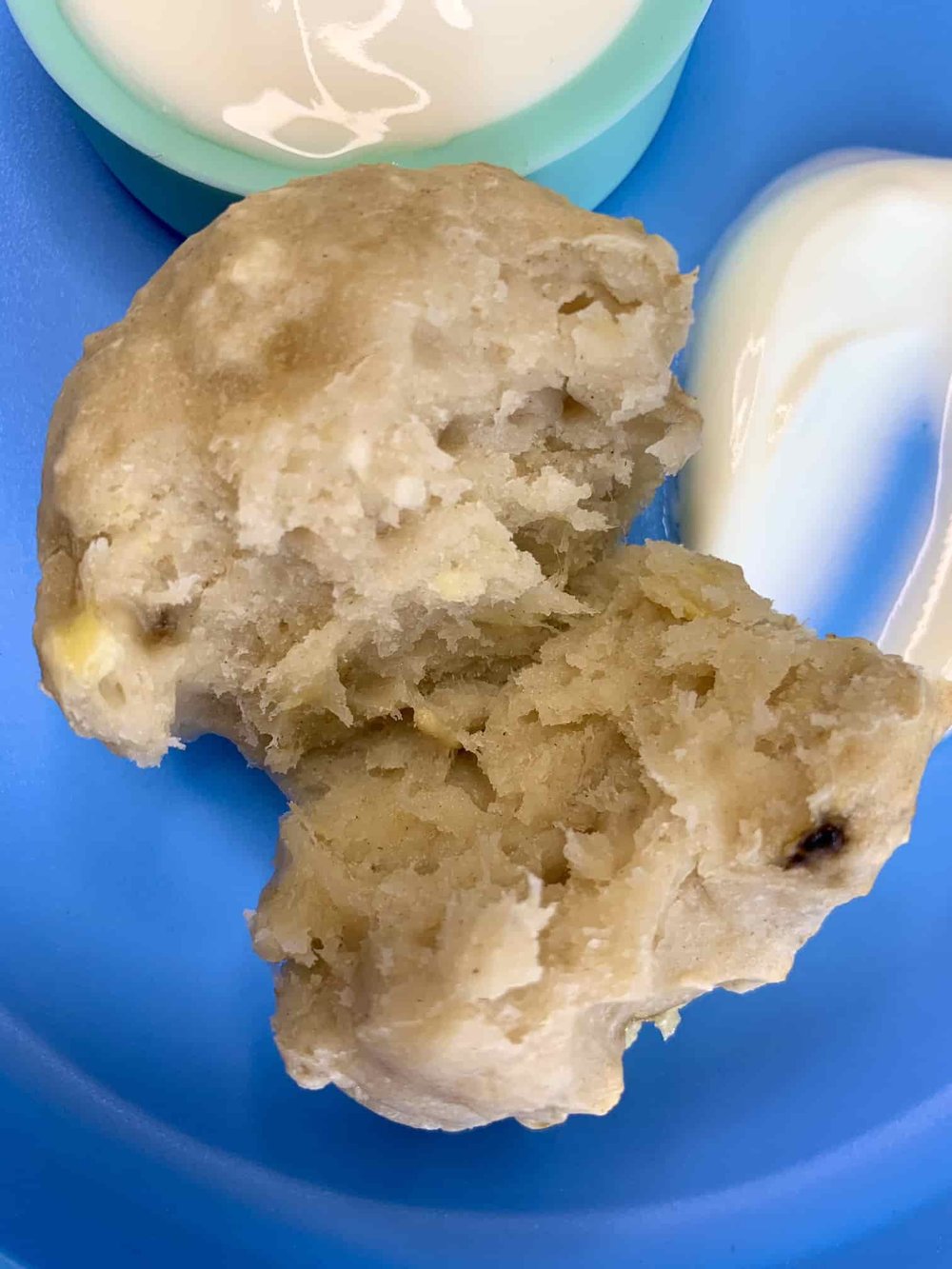 A Guide to Baby Led Weaning Recipes and Toddler Recipes