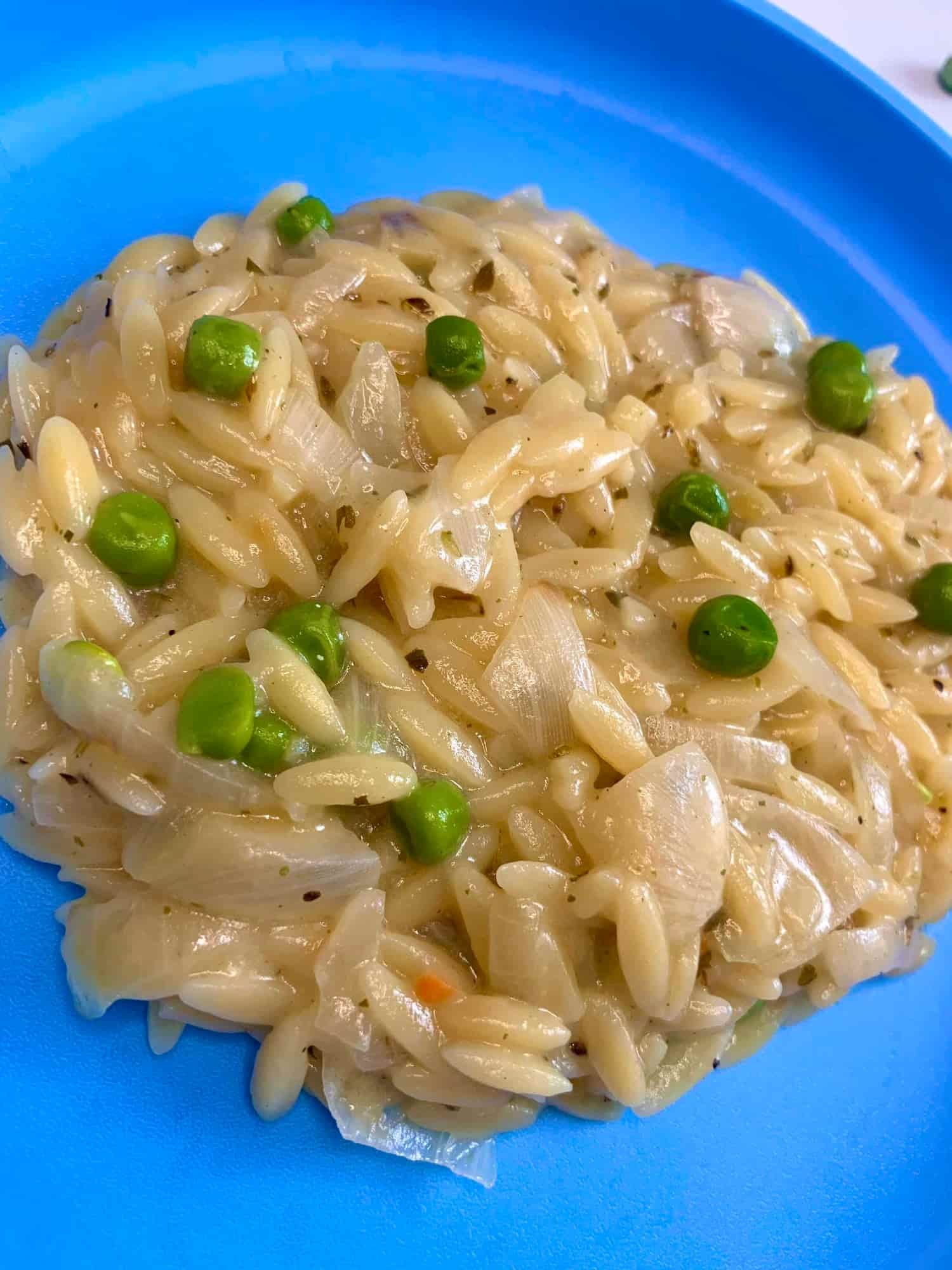 Orzotto Ultimate | Baby-led Weaning & Toddler Recipe