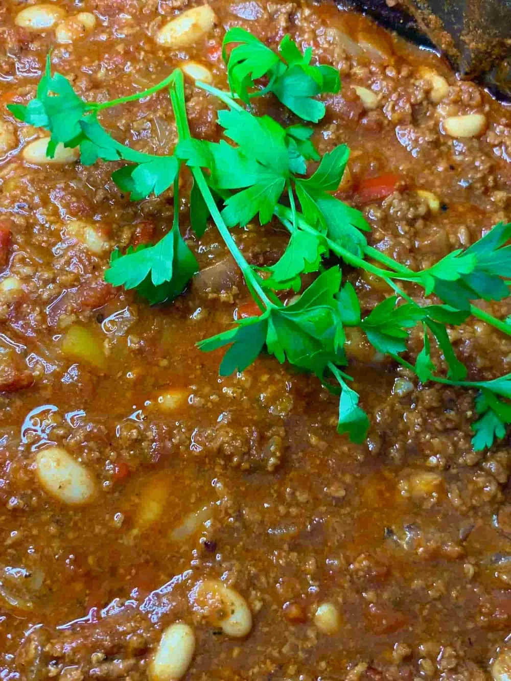 Slow Cooker Chilli Con Carne | BLW & Toddler Recipe