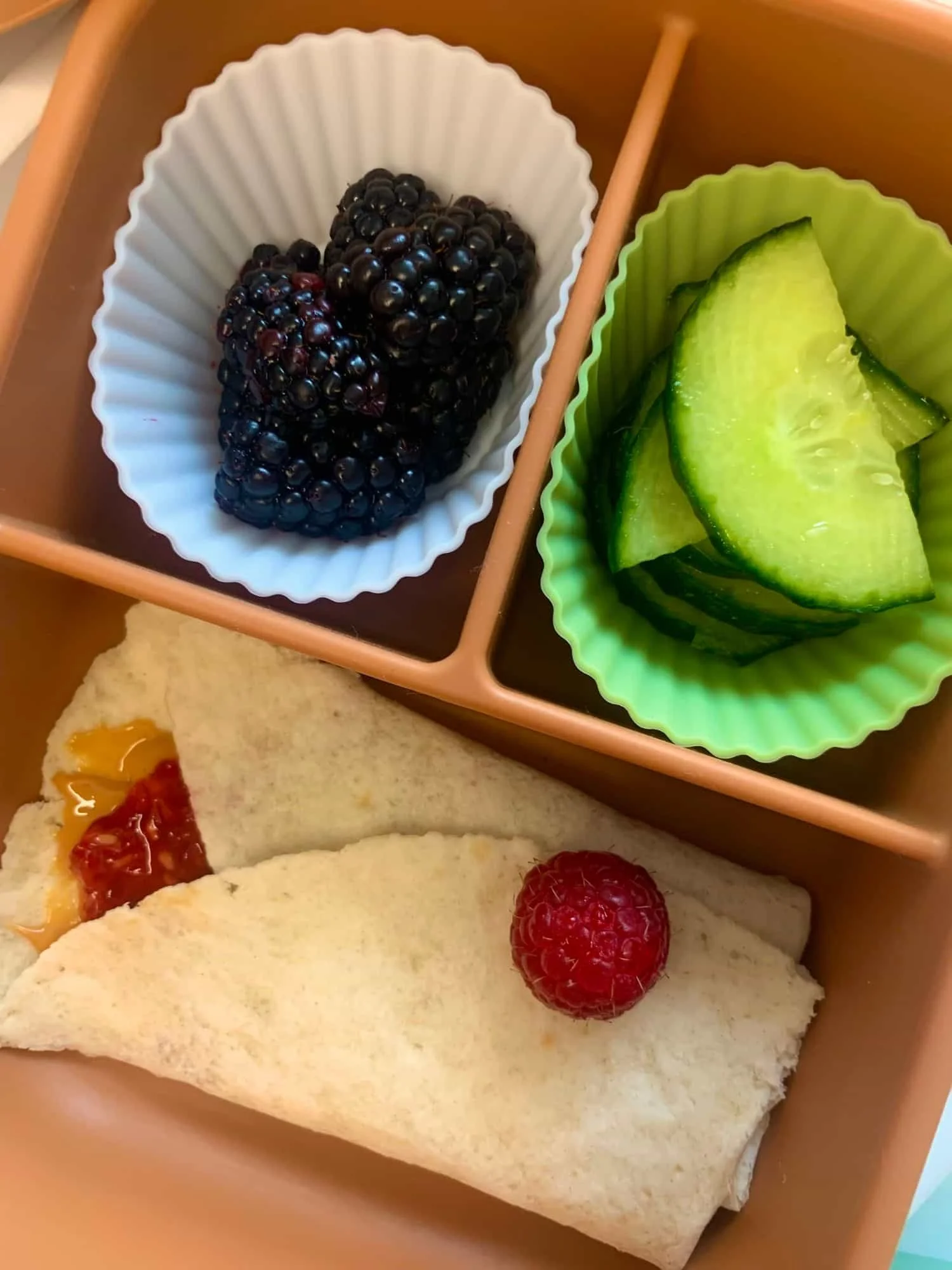 Peanut Butter and Raspberry Bento | BLW & Toddler Recipe