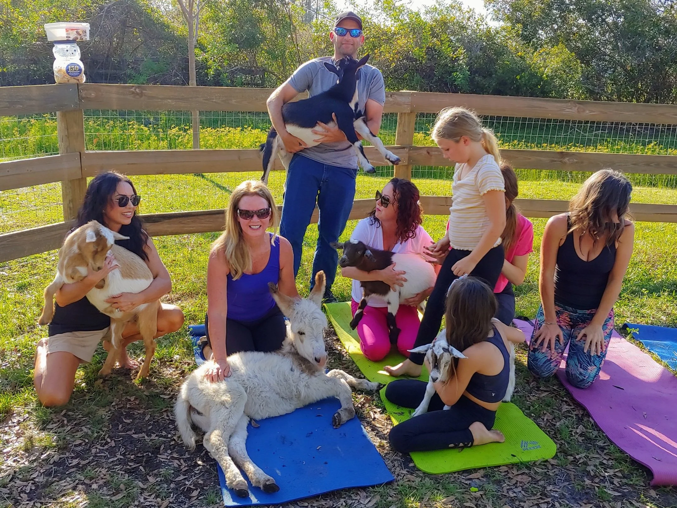 Blissful Goat Yoga | Relax, Laugh, and Unwind Today