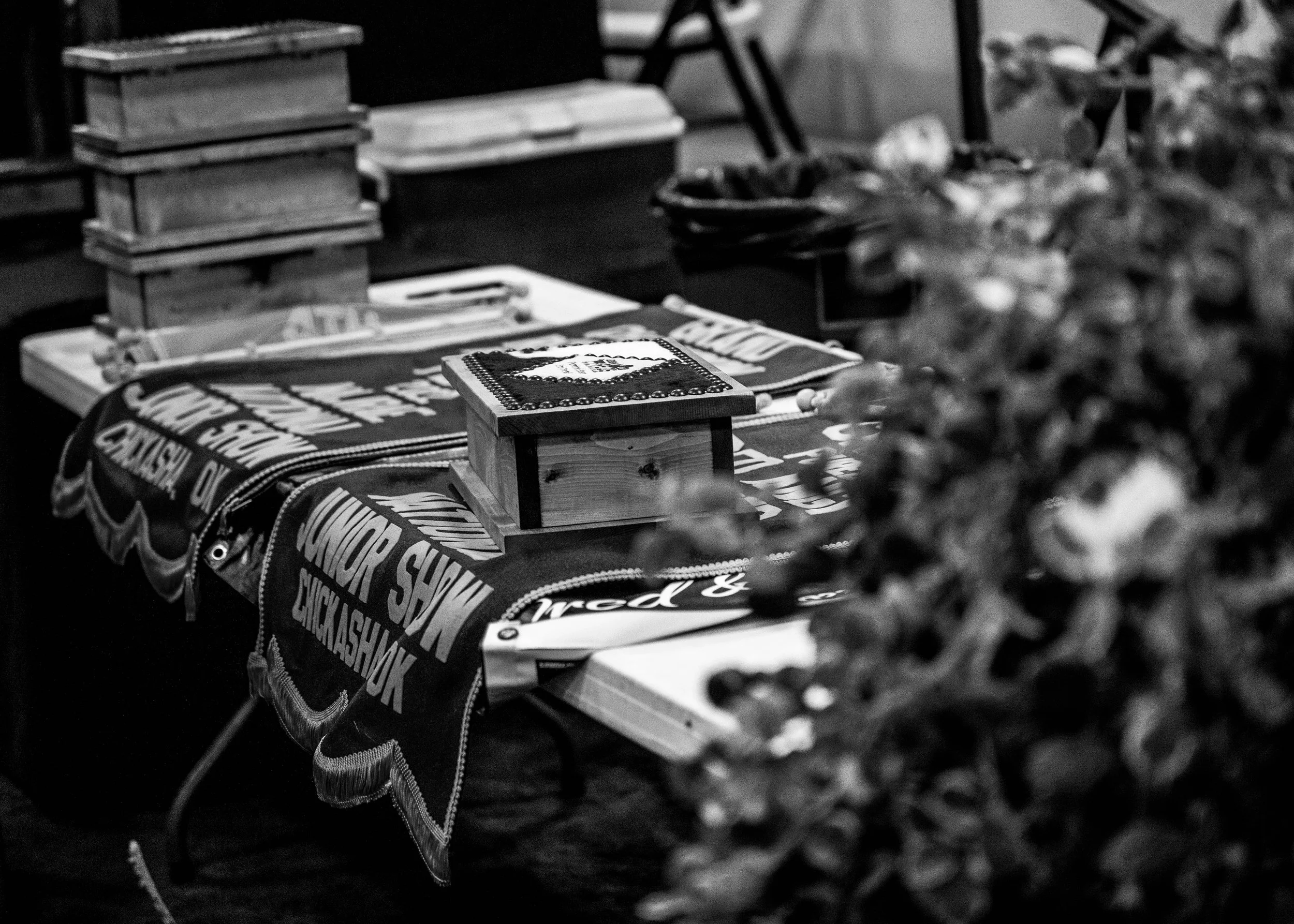 News — North American Jr. Red Angus Event