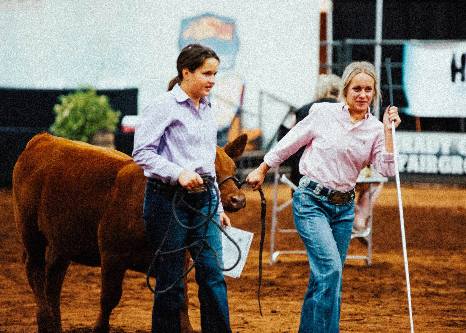 Exhibitor — North American Jr. Red Angus Event