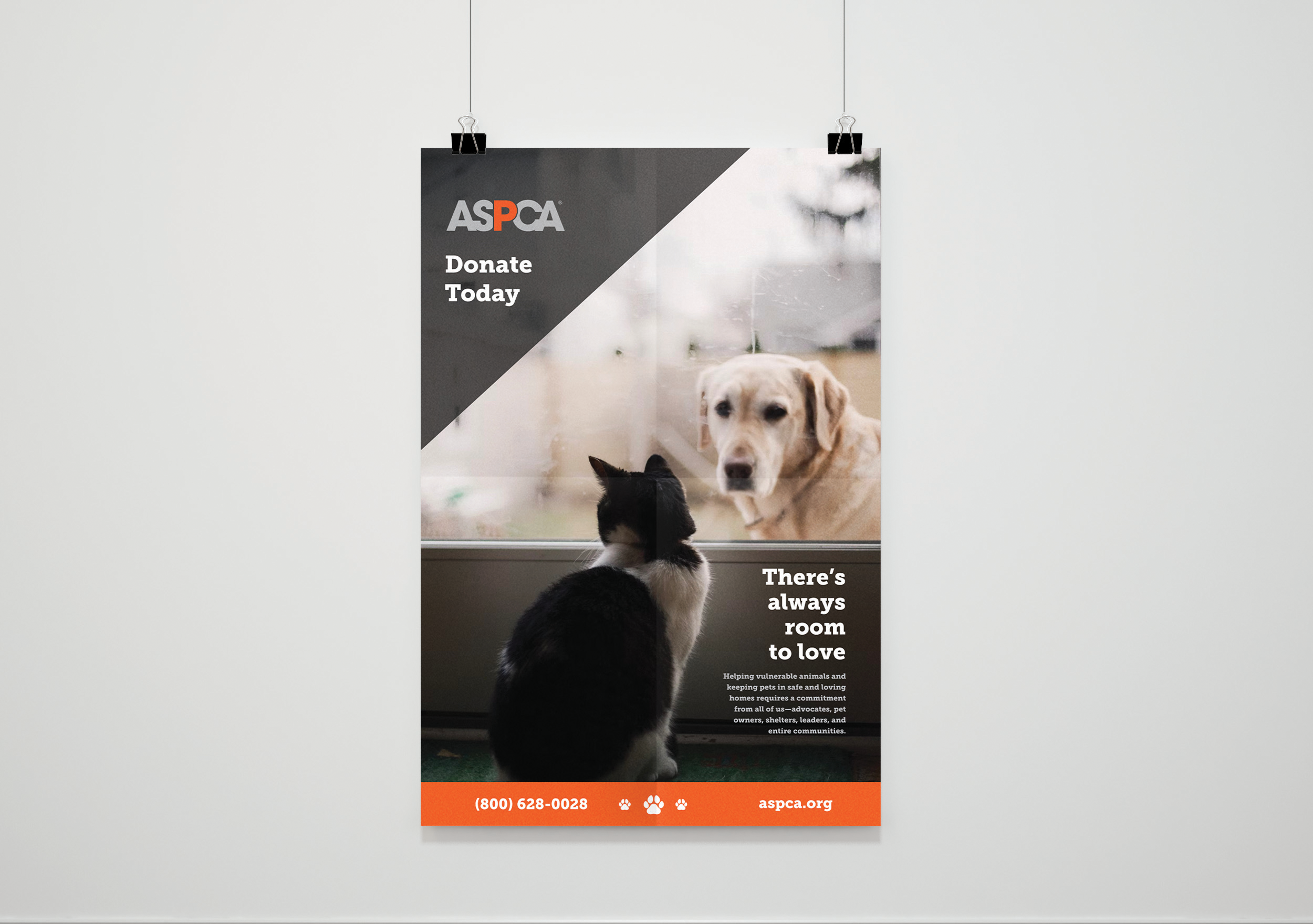 Aspca Advertisement