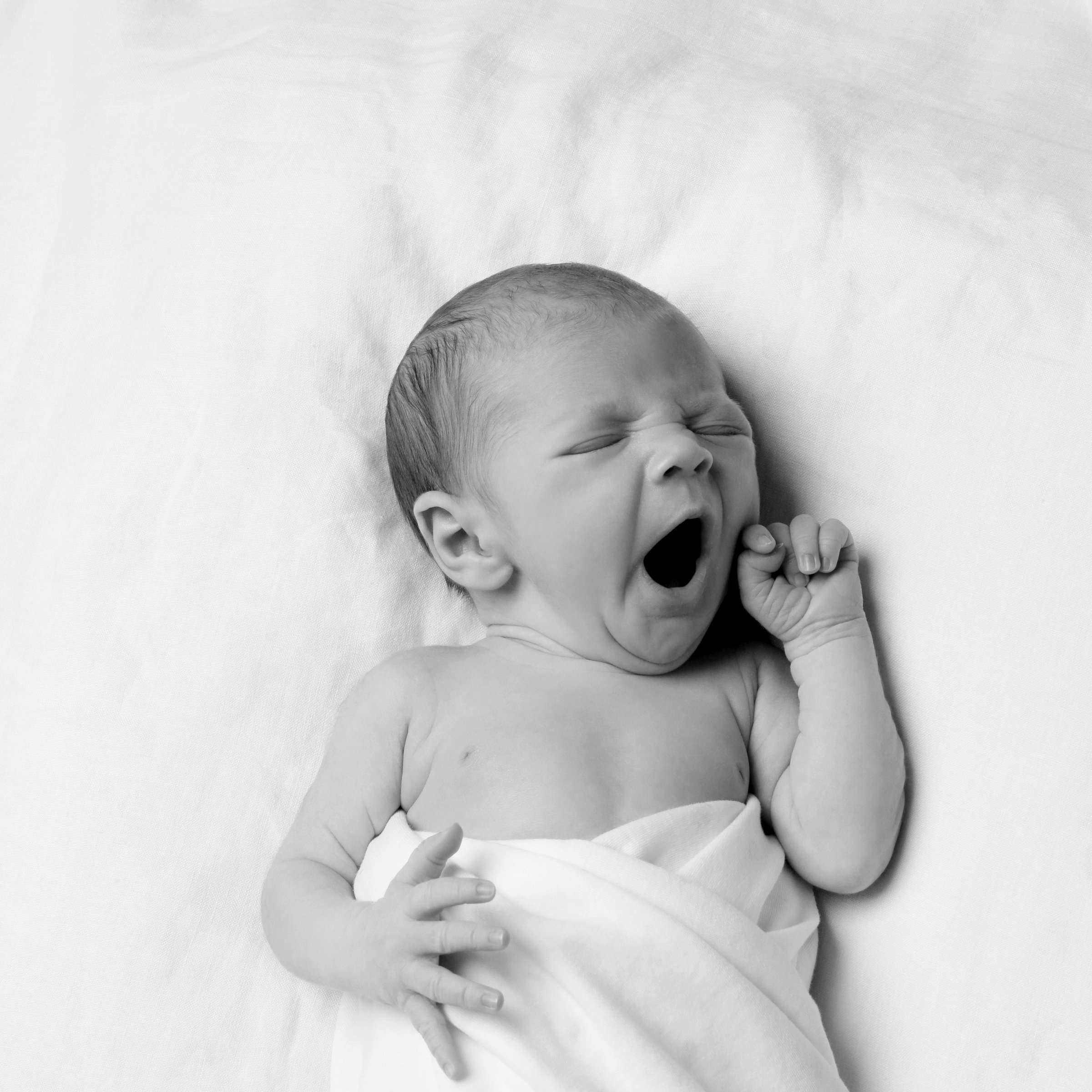 Studio Photography Packages — Mark Morffew Studios