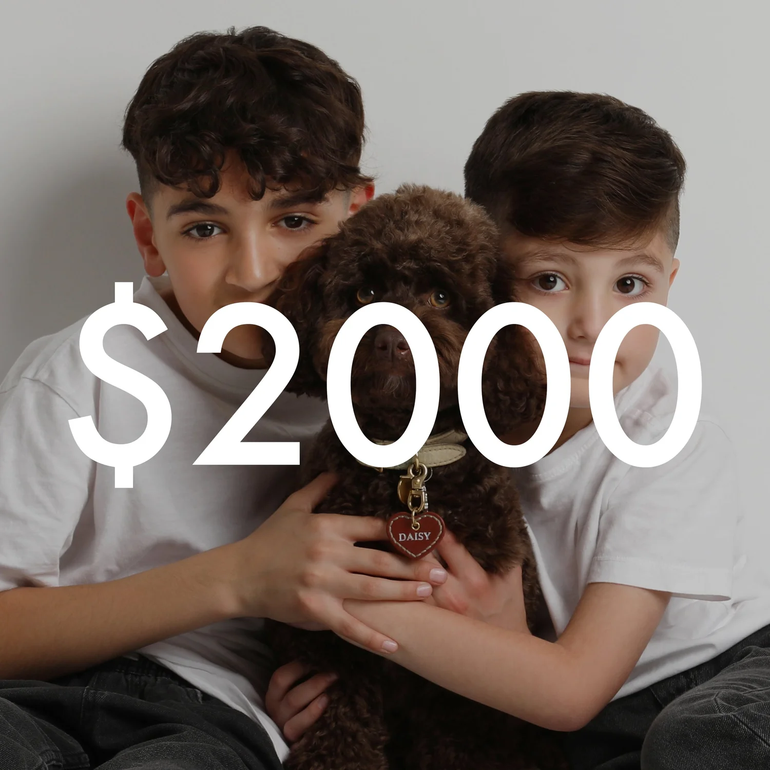 Studio Photography Packages — Mark Morffew Studios