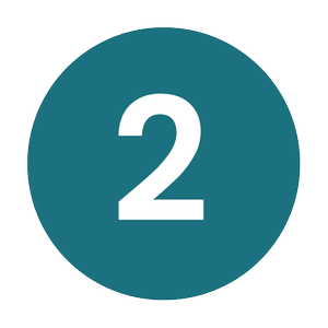 Programs — Ocean Mind