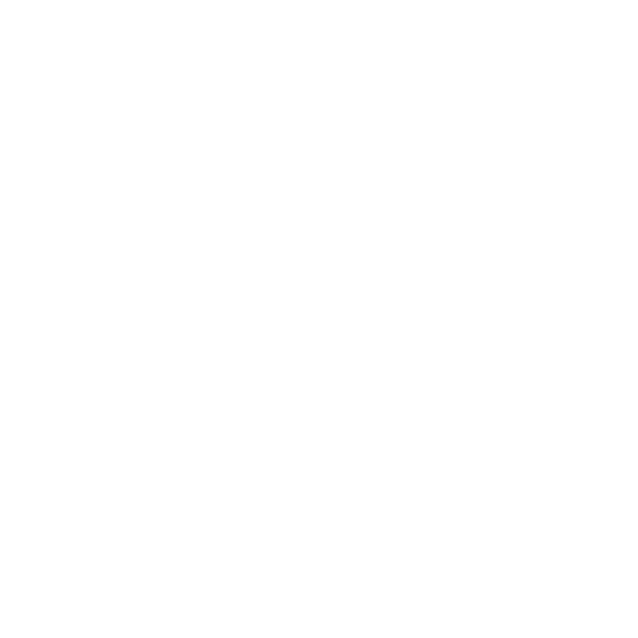 Ballet Reign