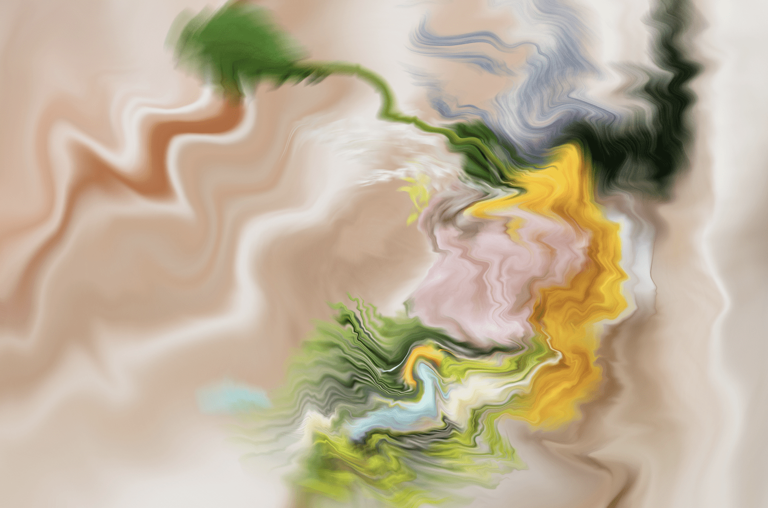 Rook & Rose — ilovecreatives Studio