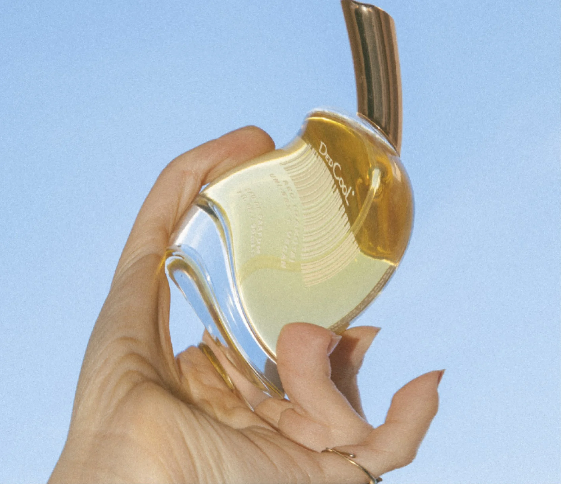 Dedcool — ilovecreatives Studio