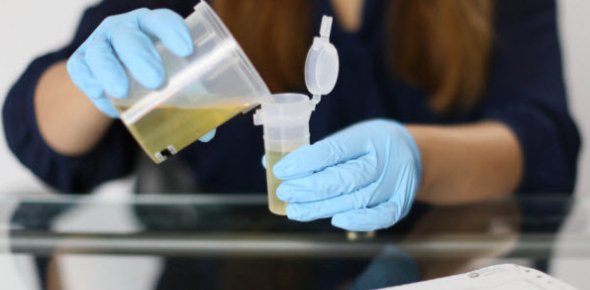 D.O.T. Specimen Collection — Nursing Lens "Nursing On The Go"