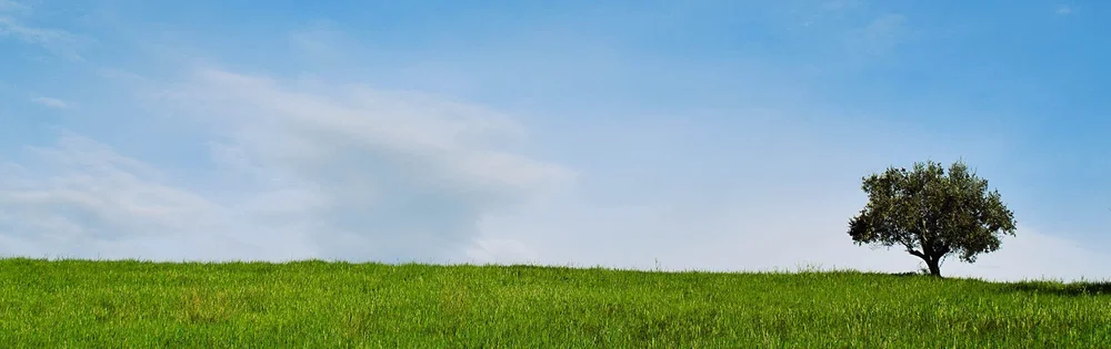 Canopy Support Services. Helping individuals to achieve their best ...