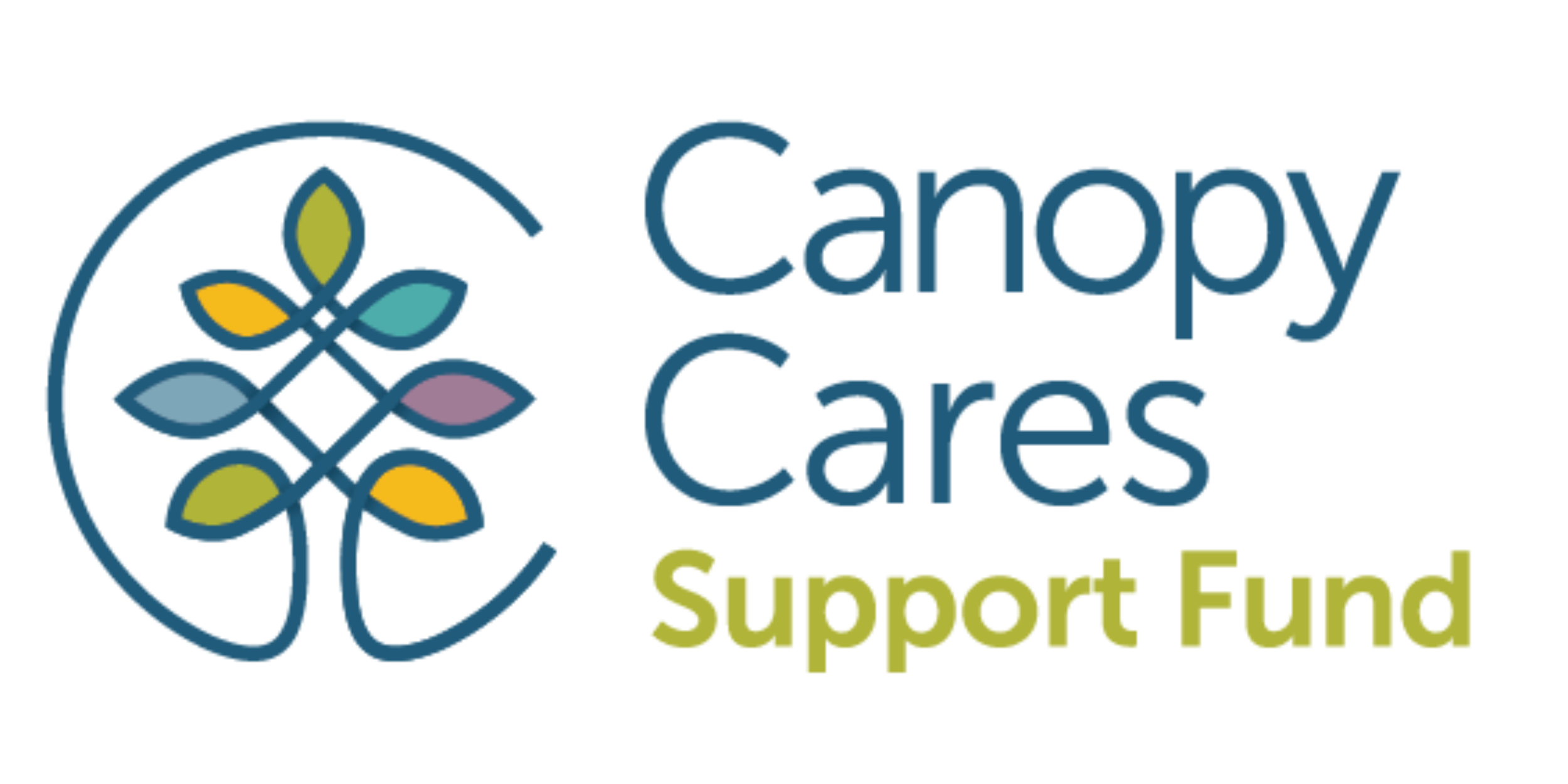 Inclusivity Carnival Registration — Canopy Support Services