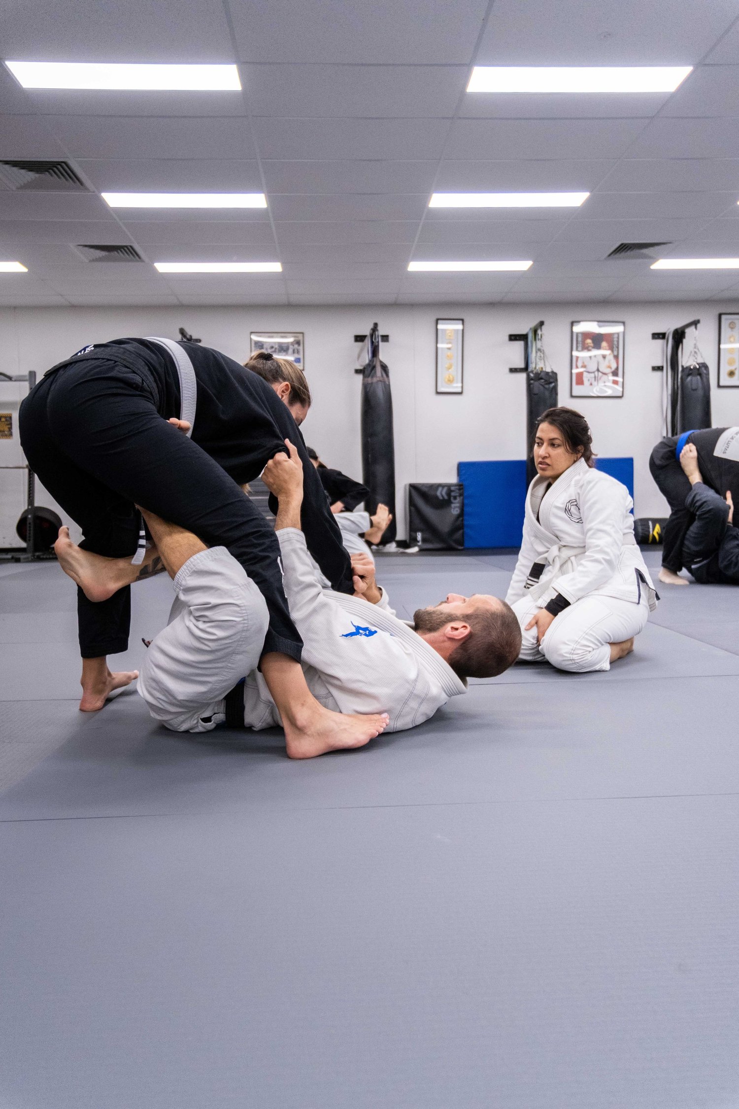 Free Introduction Class | Learn Brazilian Jiu-Jitsu in Sydney