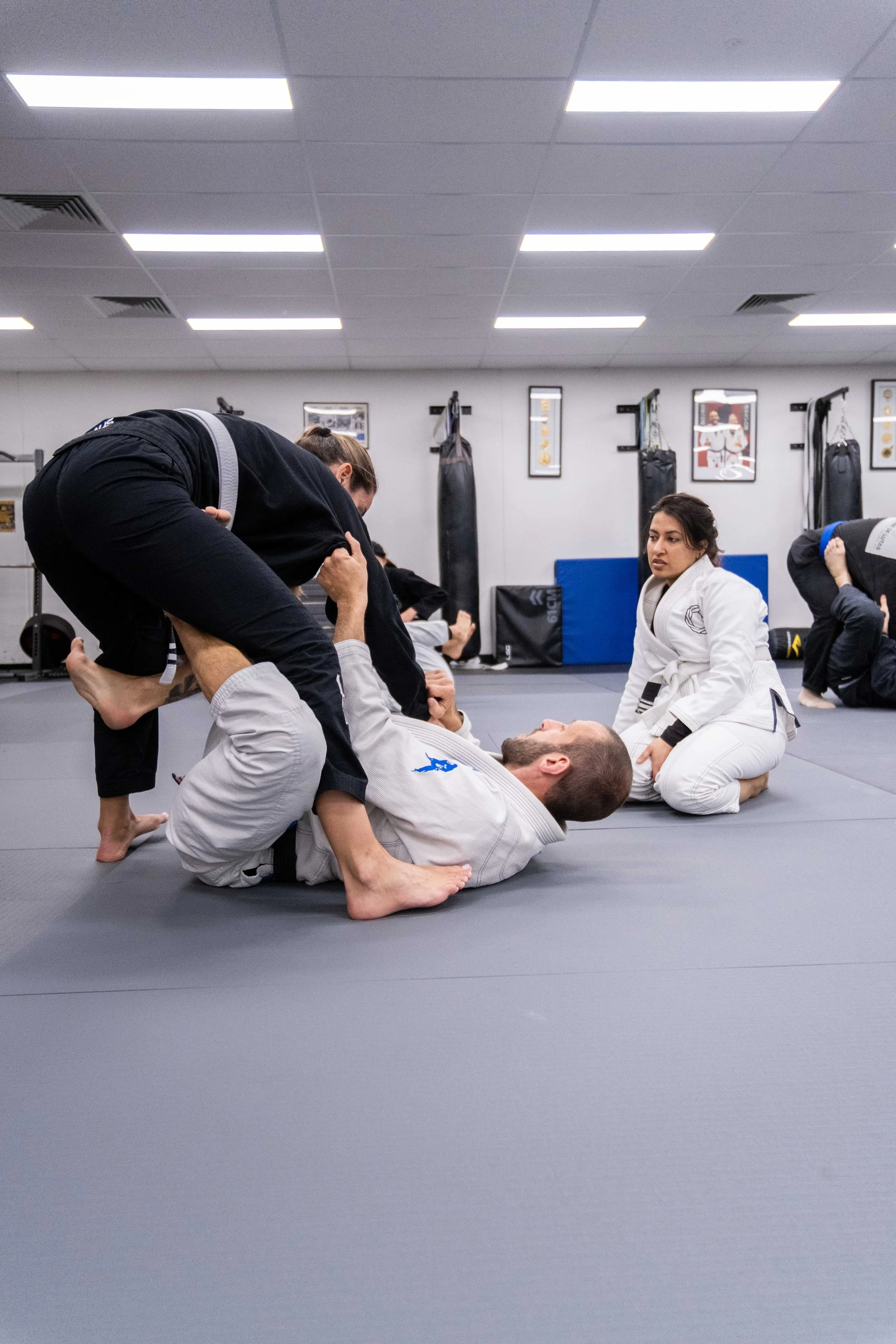 Free Introduction Class | Learn Brazilian Jiu-Jitsu in Sydney
