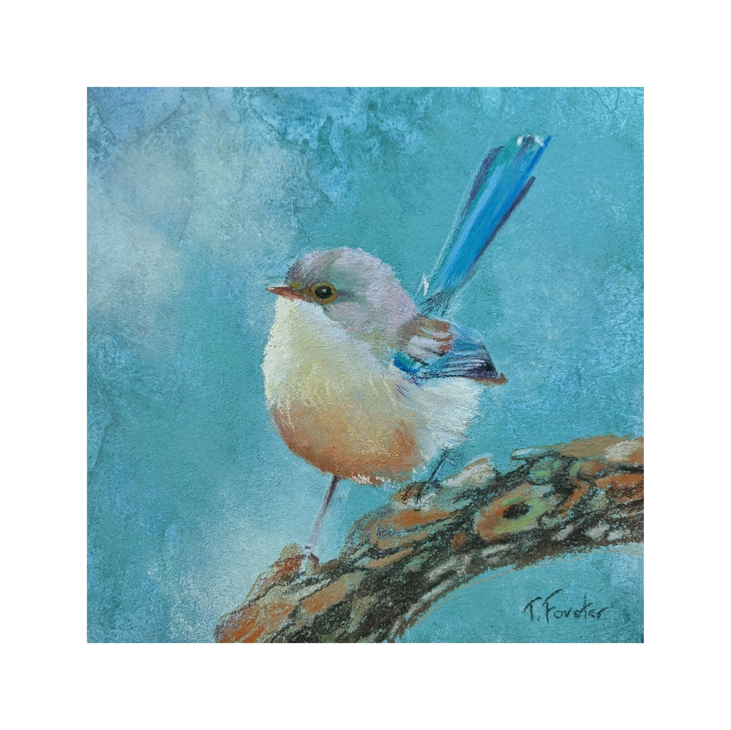 Original pelican pastel painting — Tiffany Forster Art