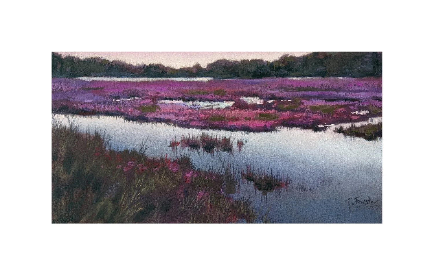 Pink Robin original mixed media bird painting — Tiffany Forster Art