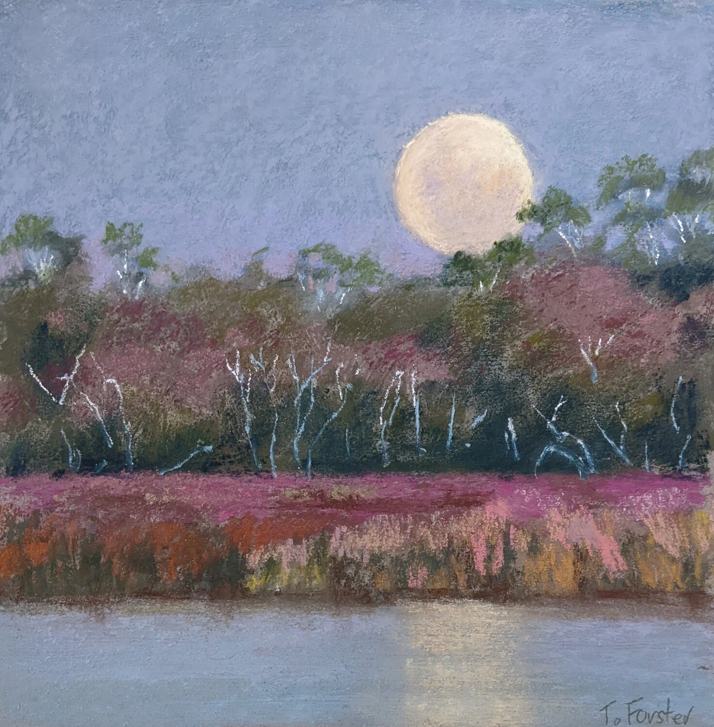 Original pelican pastel painting — Tiffany Forster Art