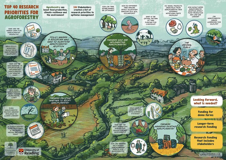 How a Rich Picture is made… — Live Illustration - Graphic Recording