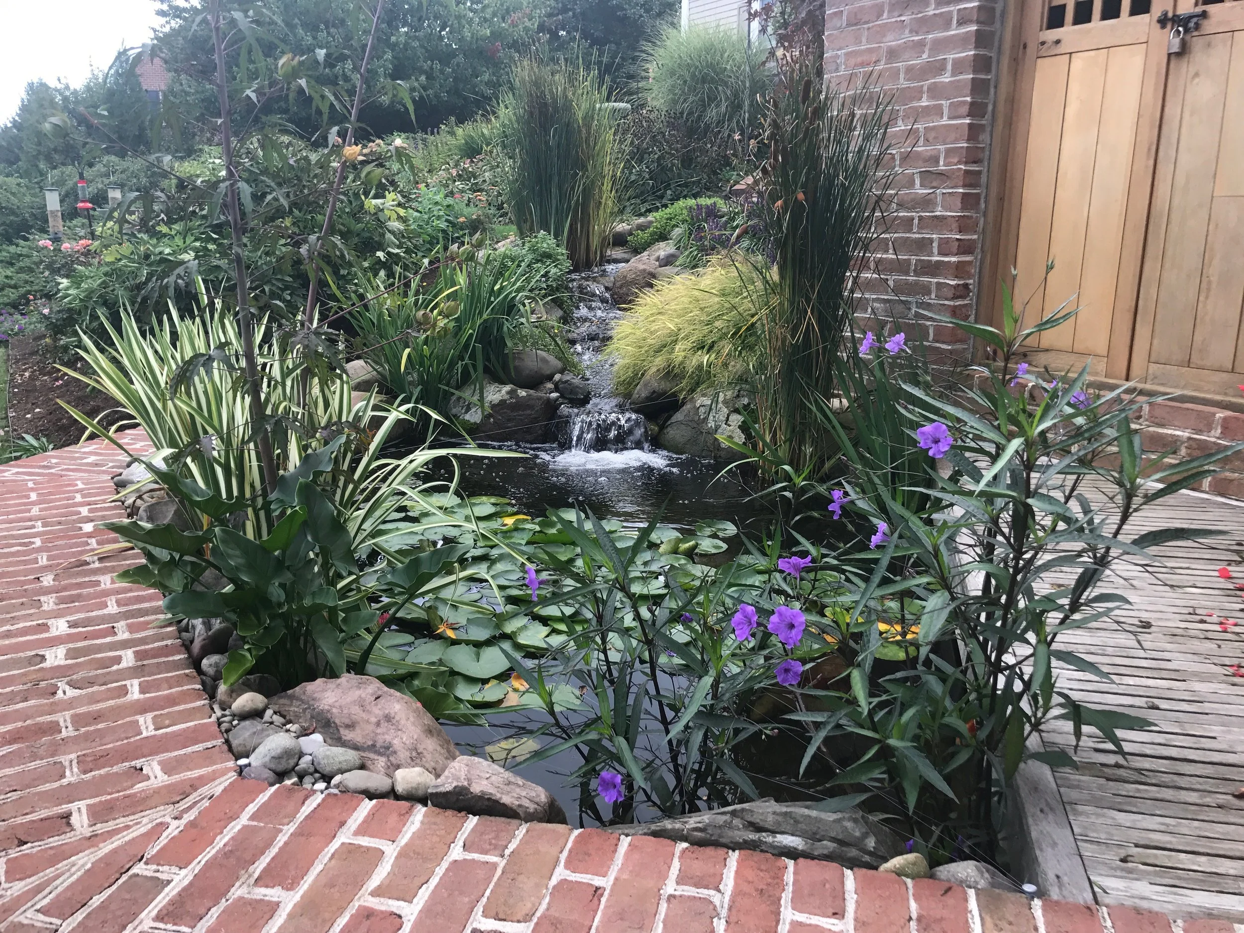 8 Foot Ponds | CONLEY PONDS