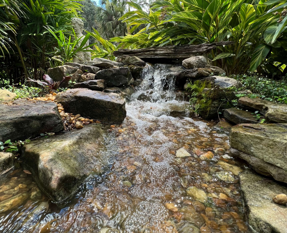 Outdoor Water Features in Tampa, FL | Conley Ponds & Waterscapes
