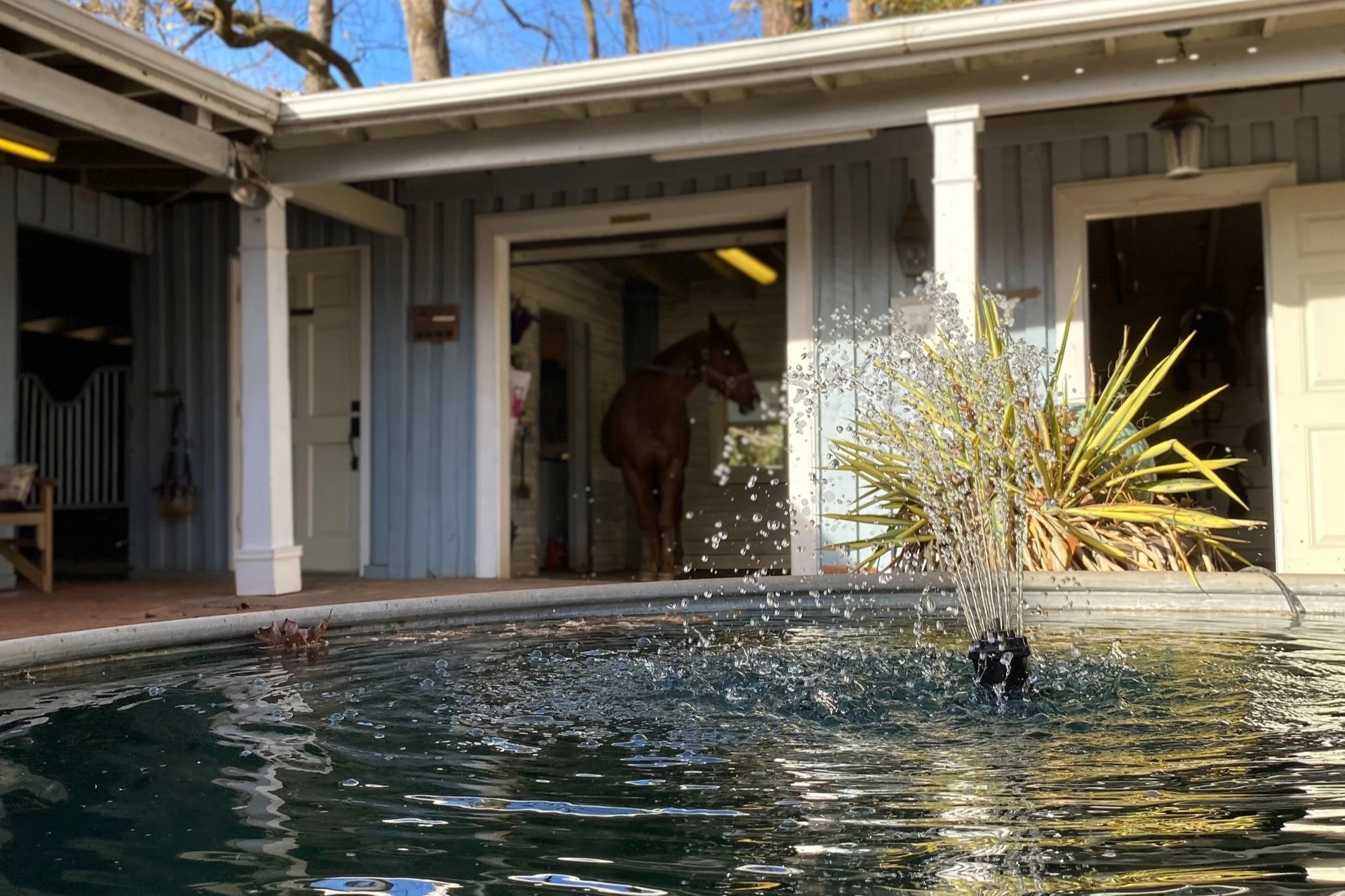 Phoebe Lawson Stables