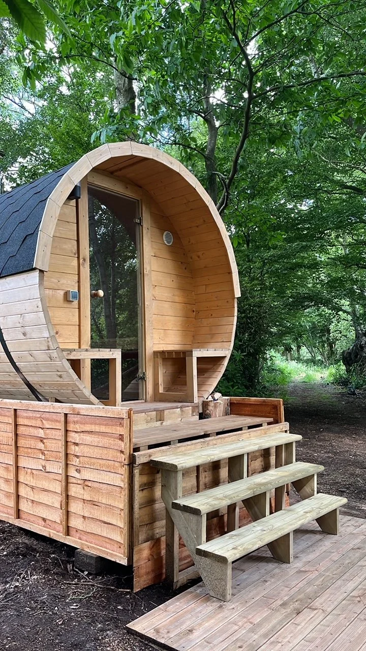 What's On — Kingdom