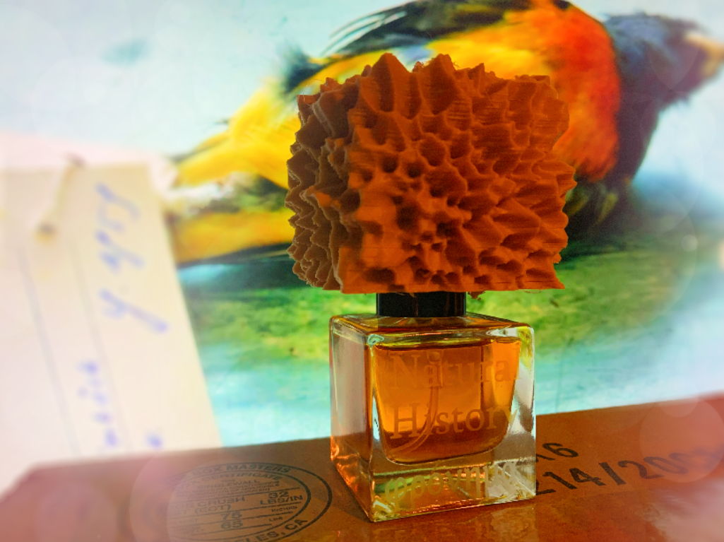 Phronema Perfumes — Weston Adam Art