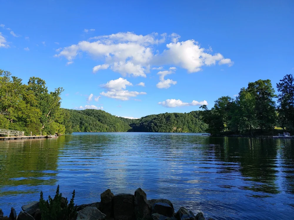 Friends of Claytor Lake