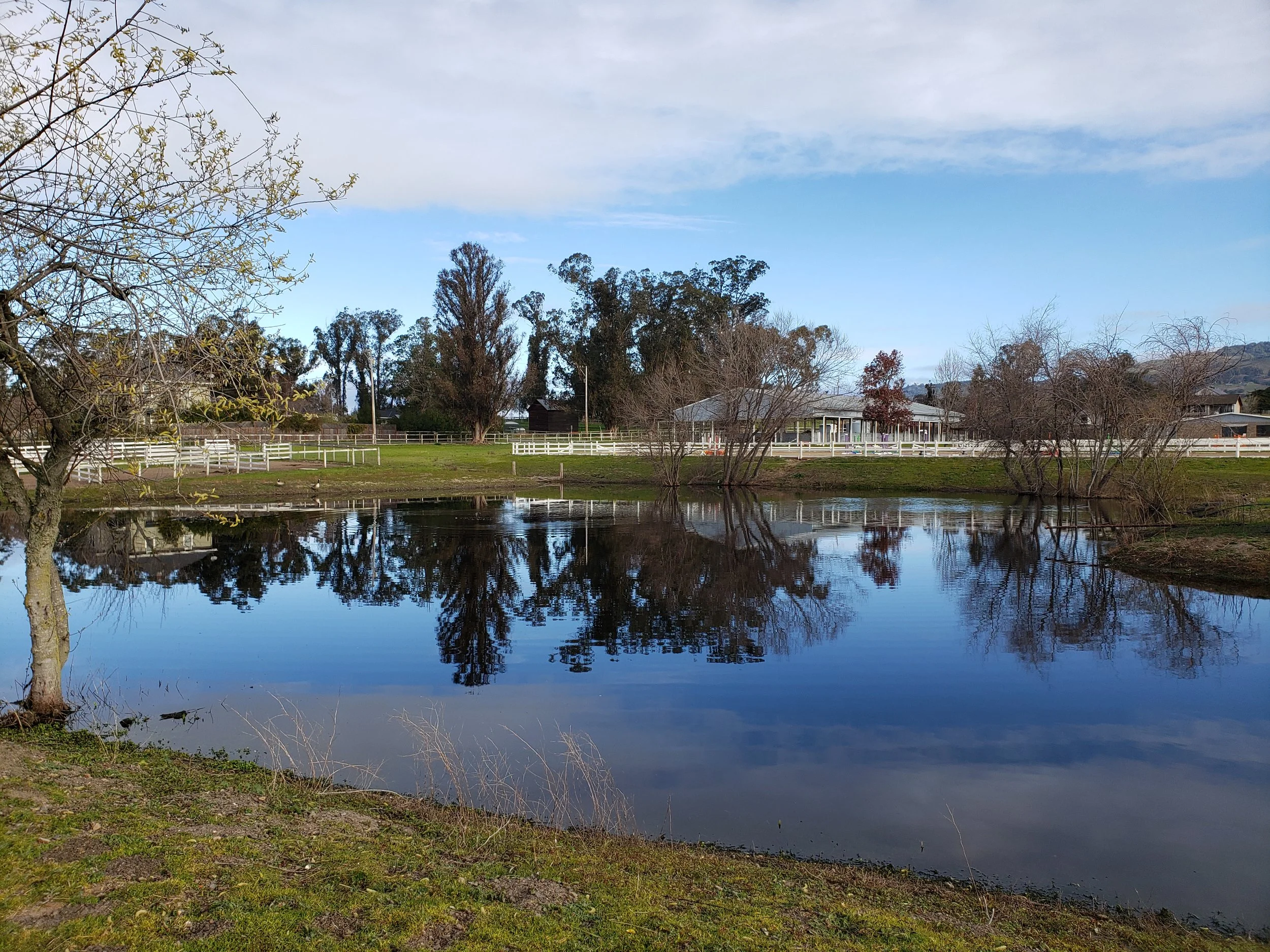 About Us — Strides Riding Academy