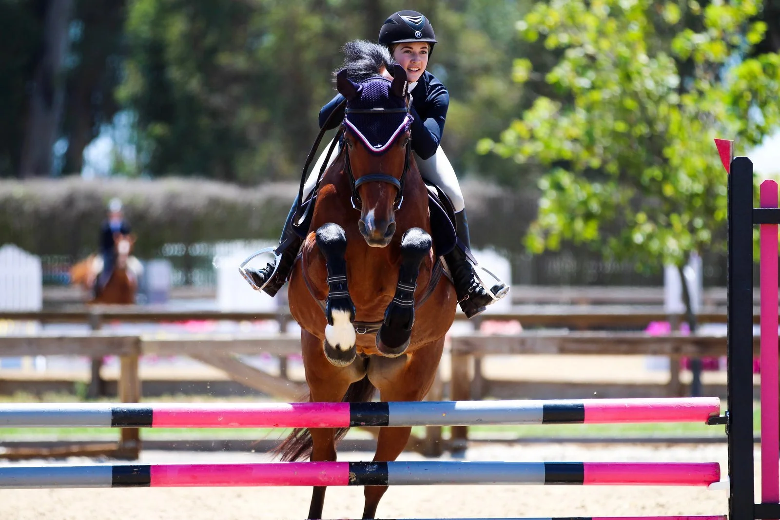 Programs — Strides Riding Academy