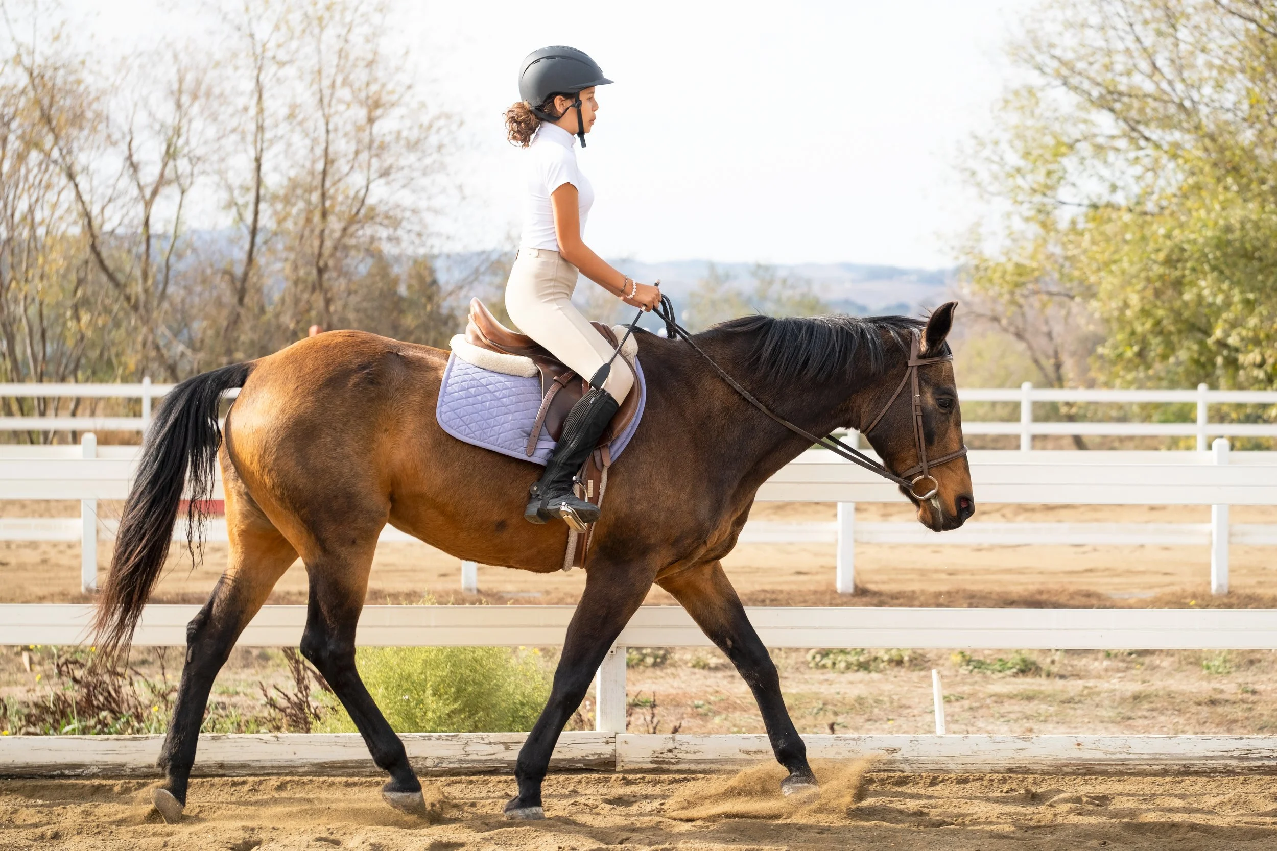 Strides Riding Academy