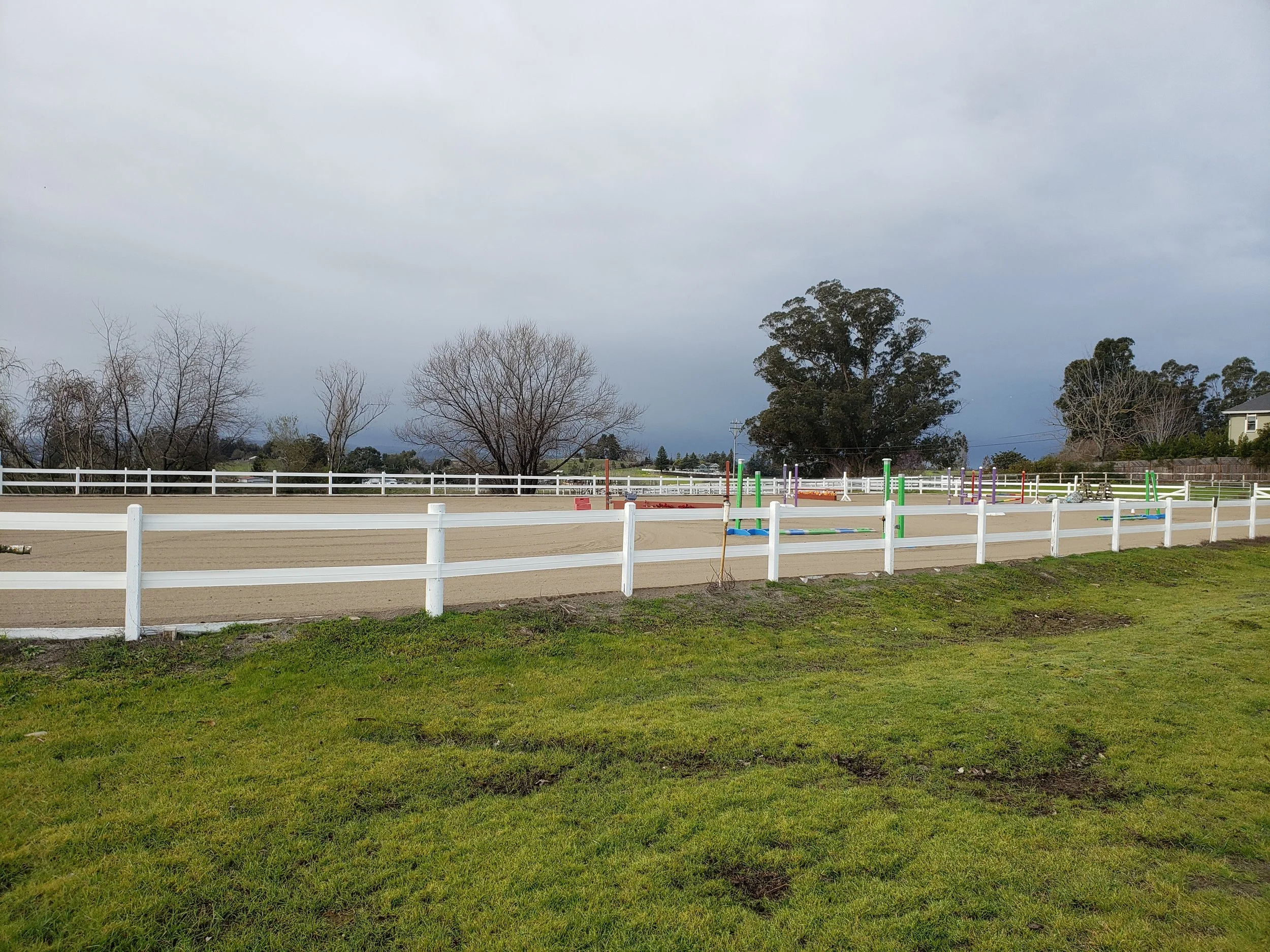 Horseback Riding in Petaluma | Strides Riding Academy