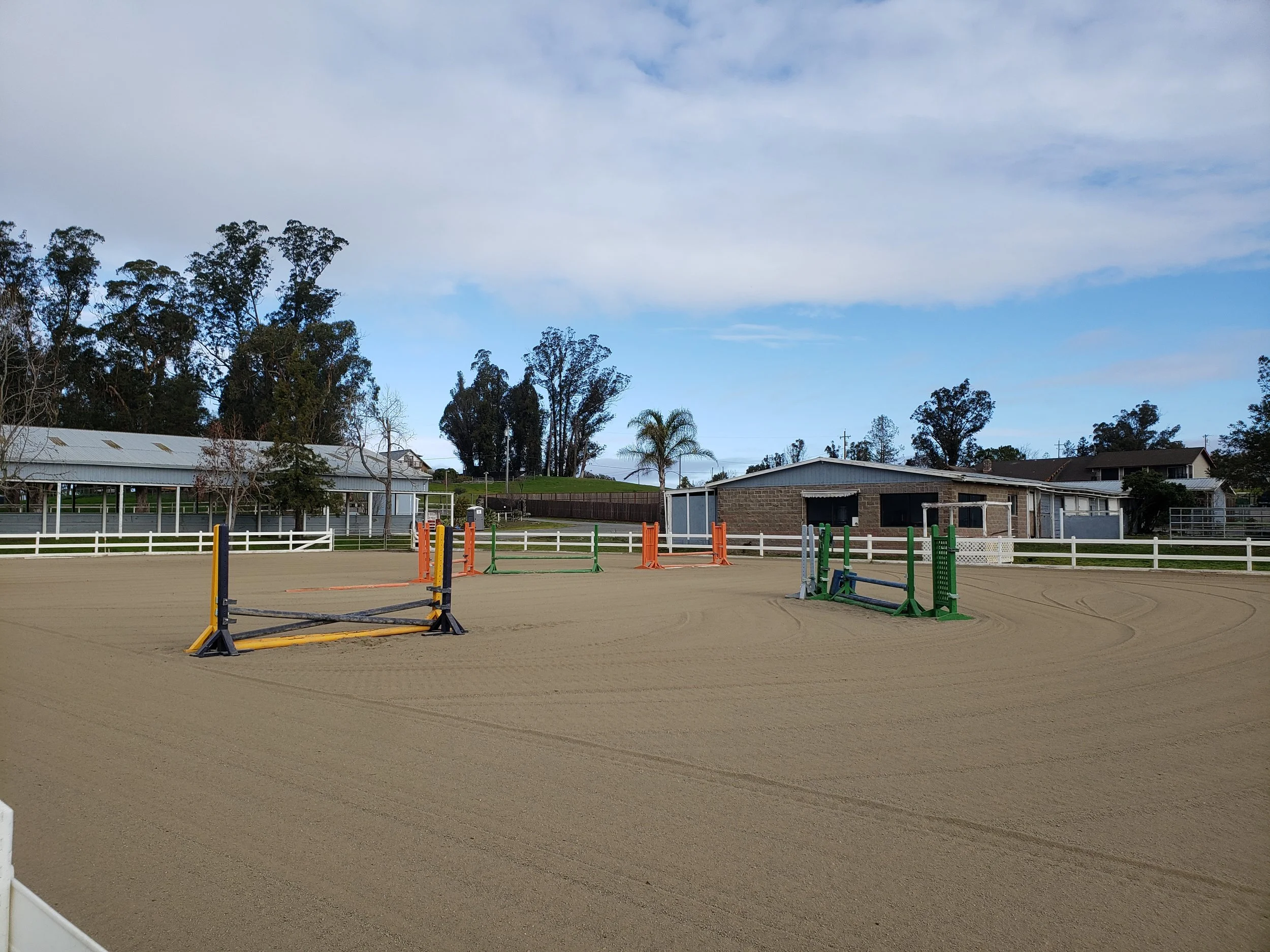 Horseback Riding in Petaluma | Strides Riding Academy