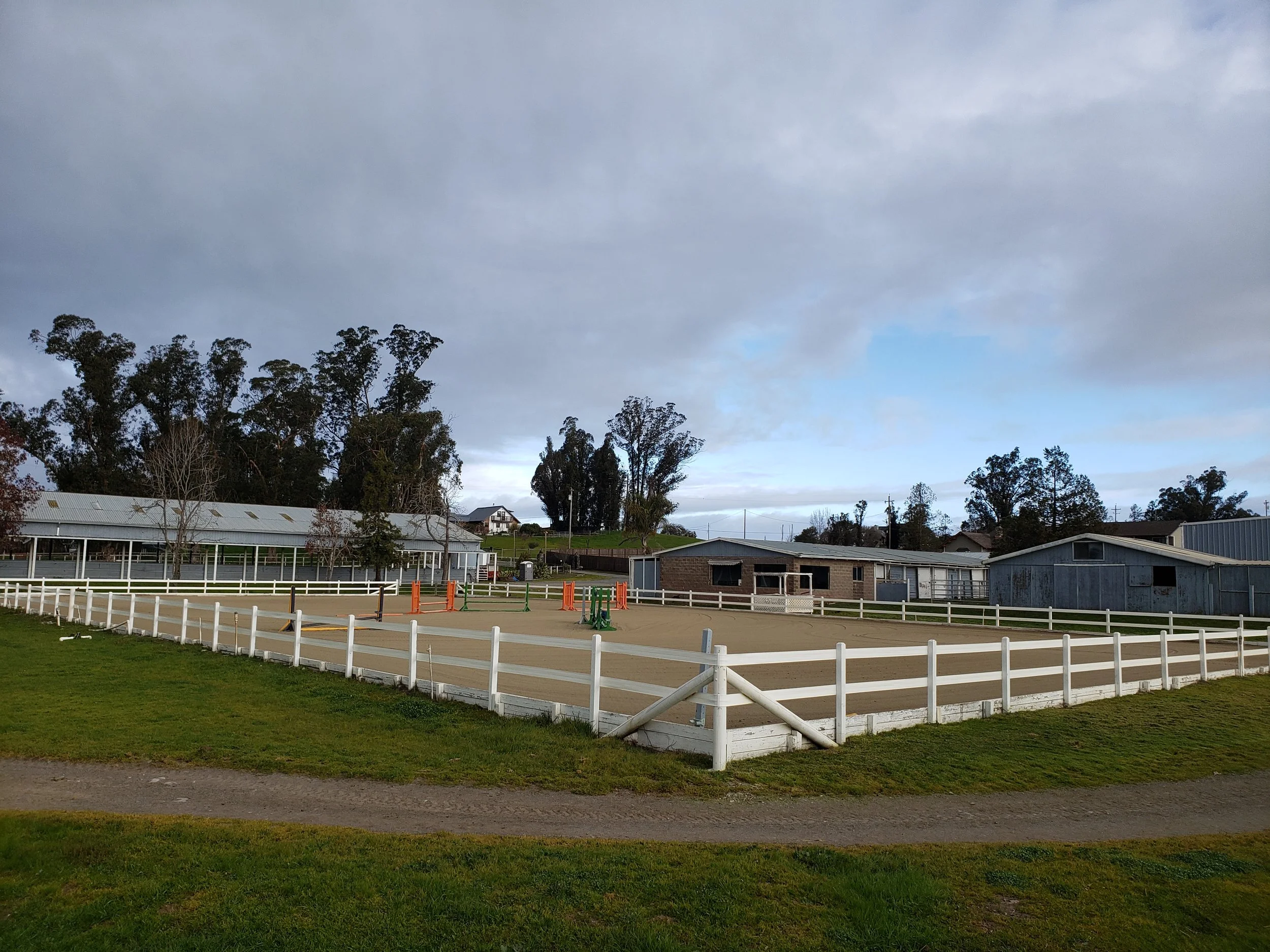 Horseback Riding in Petaluma | Strides Riding Academy