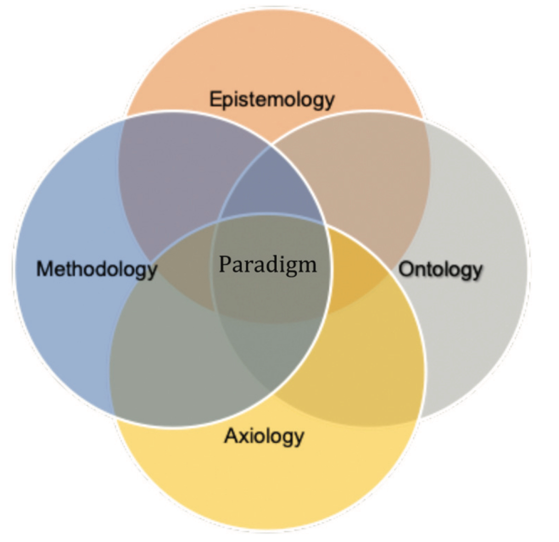 Paradigm and Bias — DNStudio.