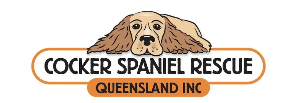 Cocker Spaniel Rescue