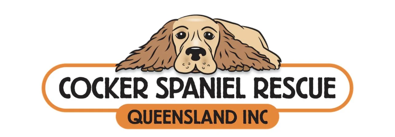 Cocker Spaniel Rescue