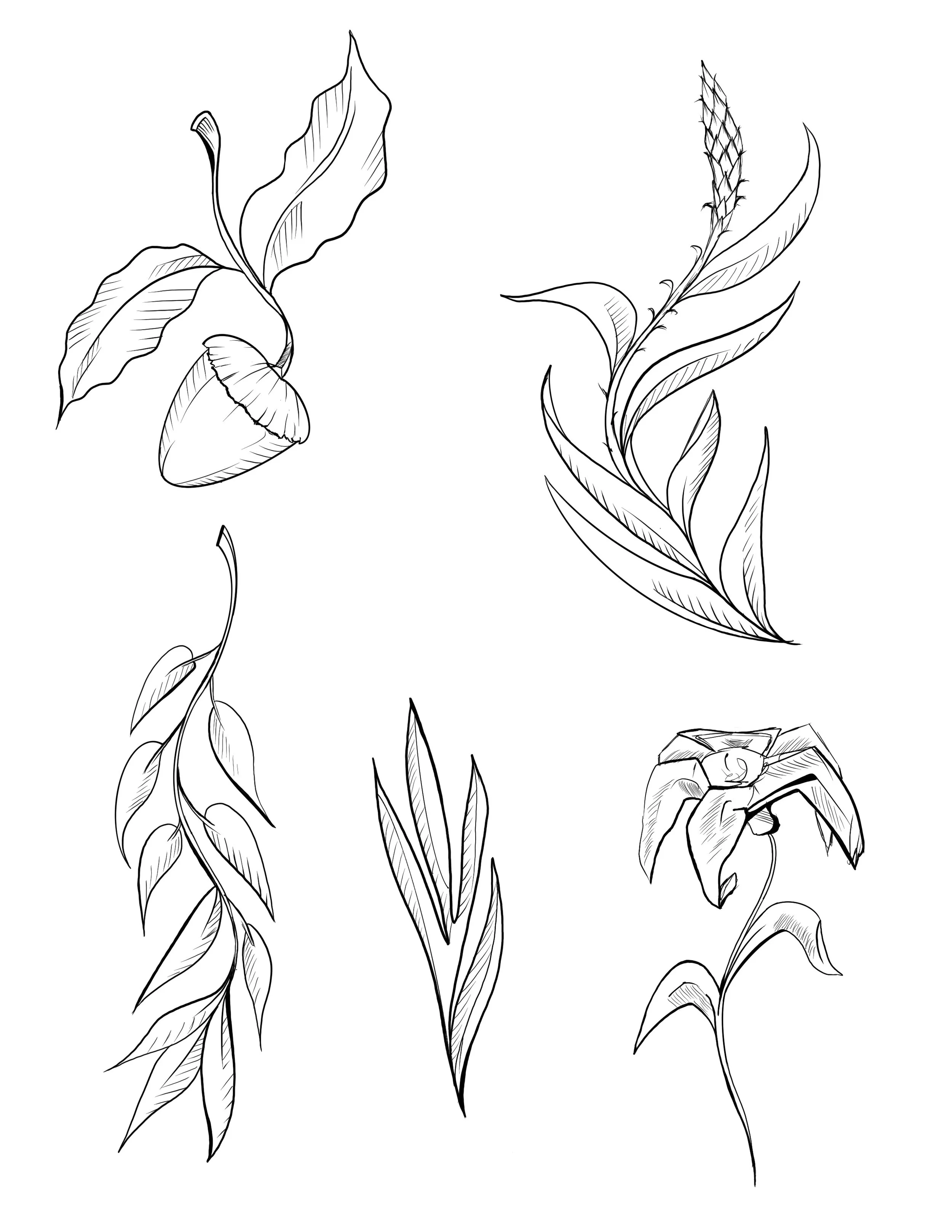 Available Flash Tattoos | Birdhouse Tattoo | Portland, OR